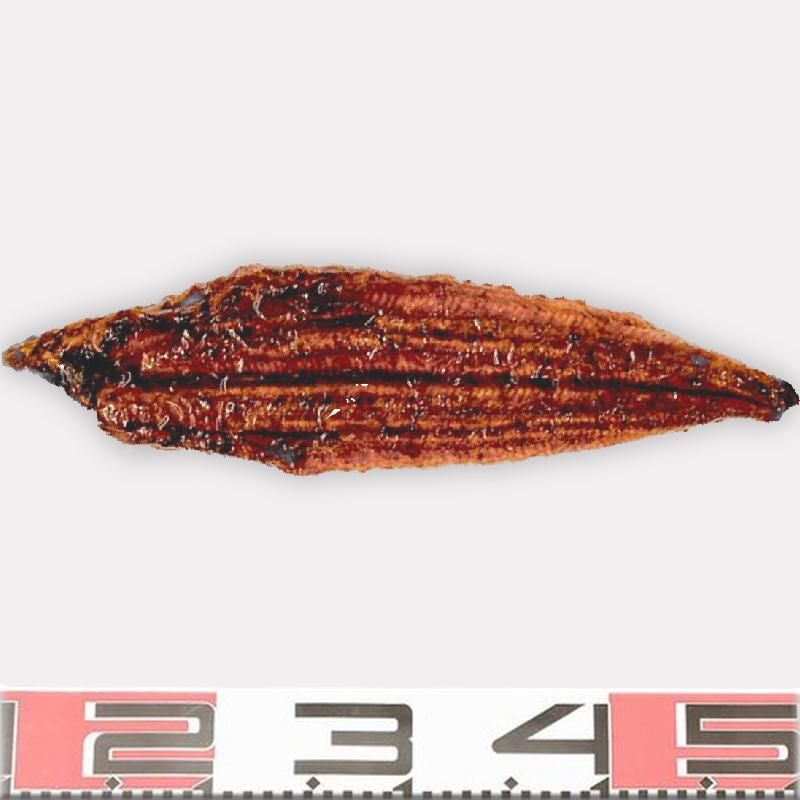 うなぎ蒲焼き 1尾 約400g前後【25尾型】 うなぎ ウナギ 鰻 炭火 うなぎ蒲焼き 1尾 約400g前後【25尾型】 うなぎ ウナギ 鰻 炭火